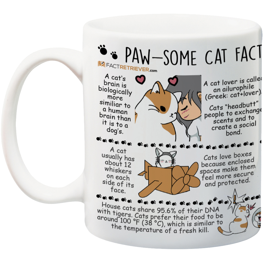 Fact Retriever Cat Facts Mug / Ceramic Coffee Mug - $24.99